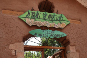 Plants and Healers Peru Trip & Tour 2019 – Itinerary – Plants & Healers ...