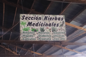 Plants and Healers Peru Trip & Tour 2019 – Itinerary – Plants & Healers ...