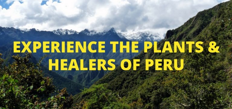 Plants and Healers Peru Trip & Tour 2019 – Plants & Healers International